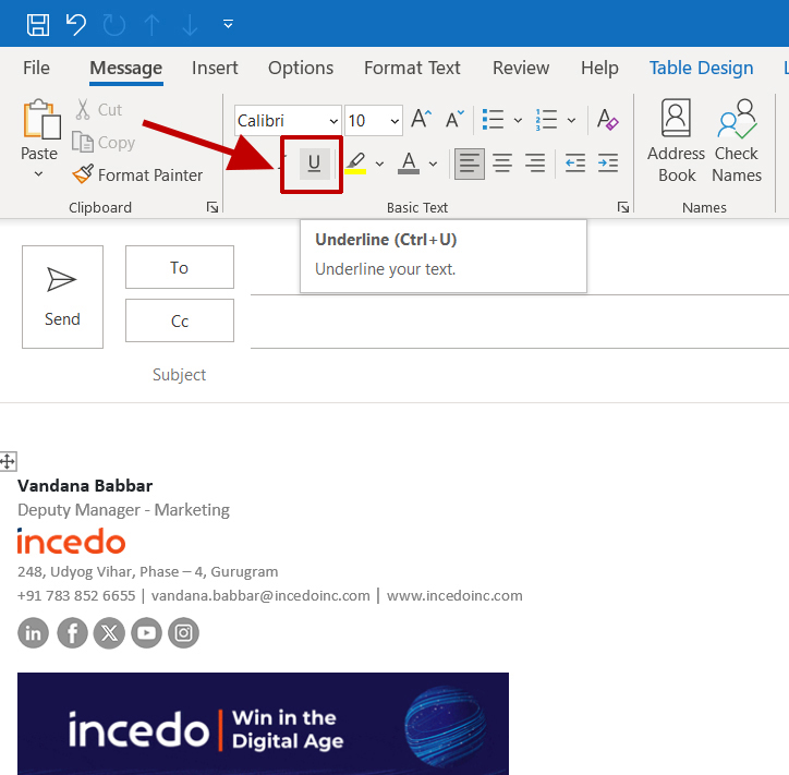 Incedo New Branding Assets
